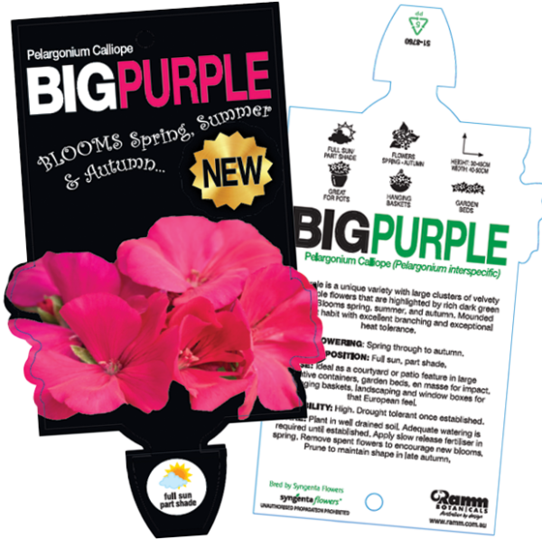Big Purple - Ramm Botannicals